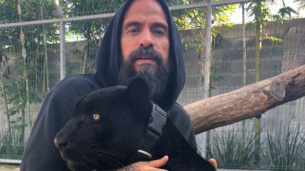 Belinda confirma que cantará con Babo de Cartel de Santa y explica el ...