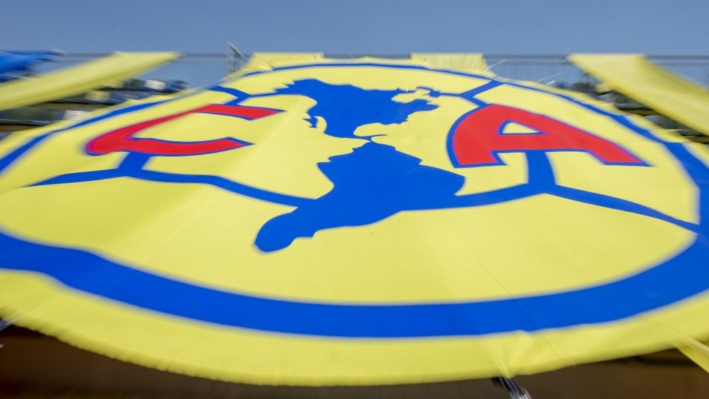 Televisa genera millonarias ganancias gracias al Club América y el ...