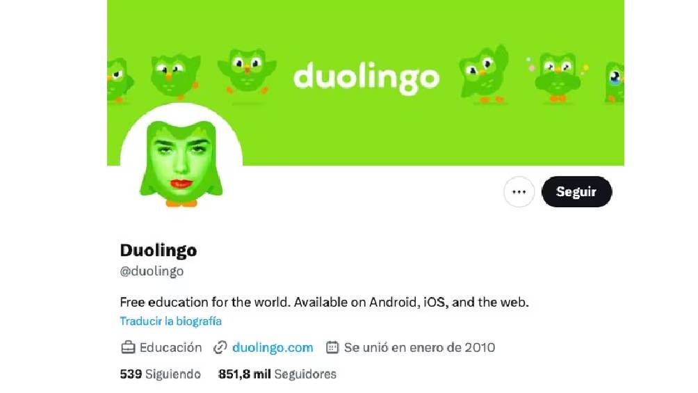 Duolingo y Dua Lipa aparecen juntos en foto de perfil