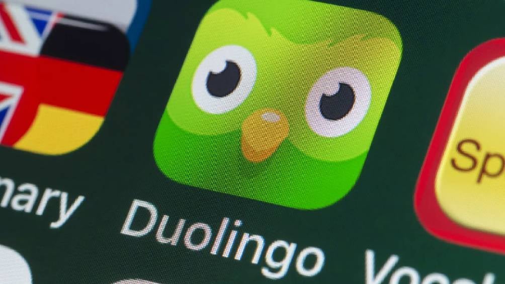 Duolingo y Dua Lipa aparecen juntos en foto de perfil