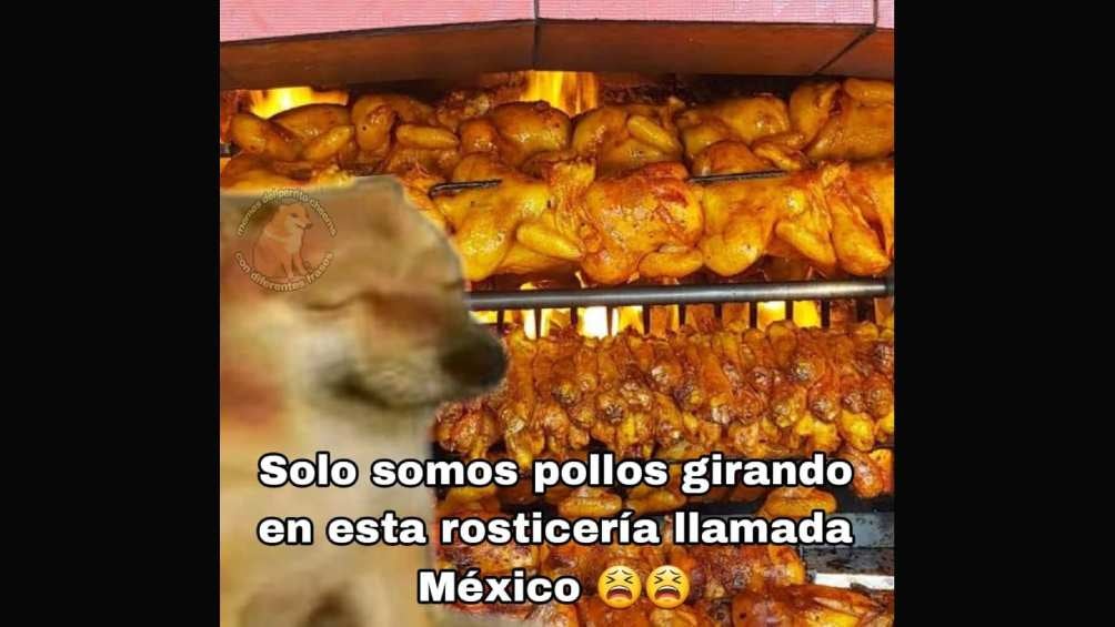 Los mejores memes para ‘refrescarte’ ante la segunda ola de calor