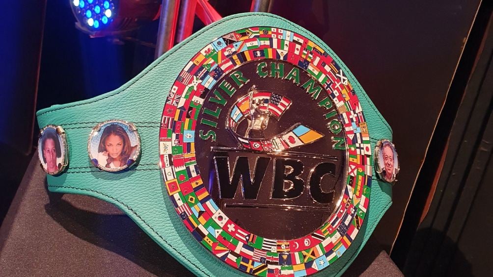 Los mejores combates de box durante el mes de julio