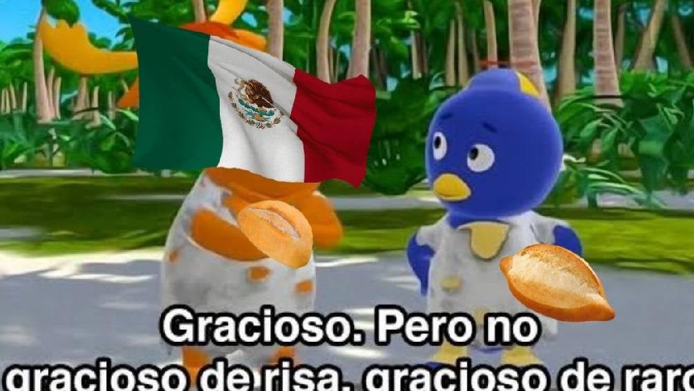 ¡Los mejores memes del simulacro nacional 2024! ¡No te los pierdas!