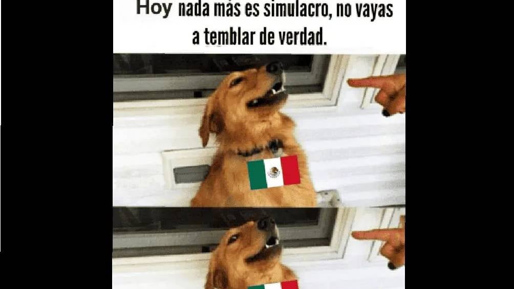 ¡Los mejores memes del simulacro nacional 2024! ¡No te los pierdas!