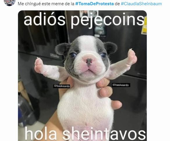 ¡A celebrar! Estos son los mejores memes de la toma de protesta de ...