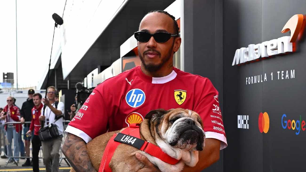 Lewis Hamilton se emociona con un tierno retrato LEGO de su perro ...