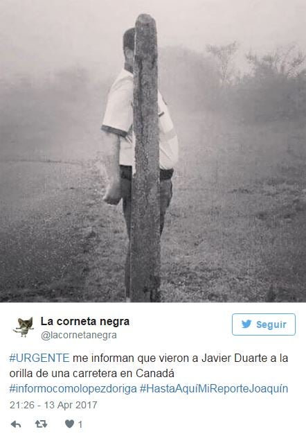 ¿Es o no es? Ríe con los memes de la reaparición de Duarte | RÉCORD