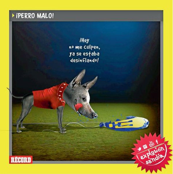 ¡Perro malo! | RÉCORD