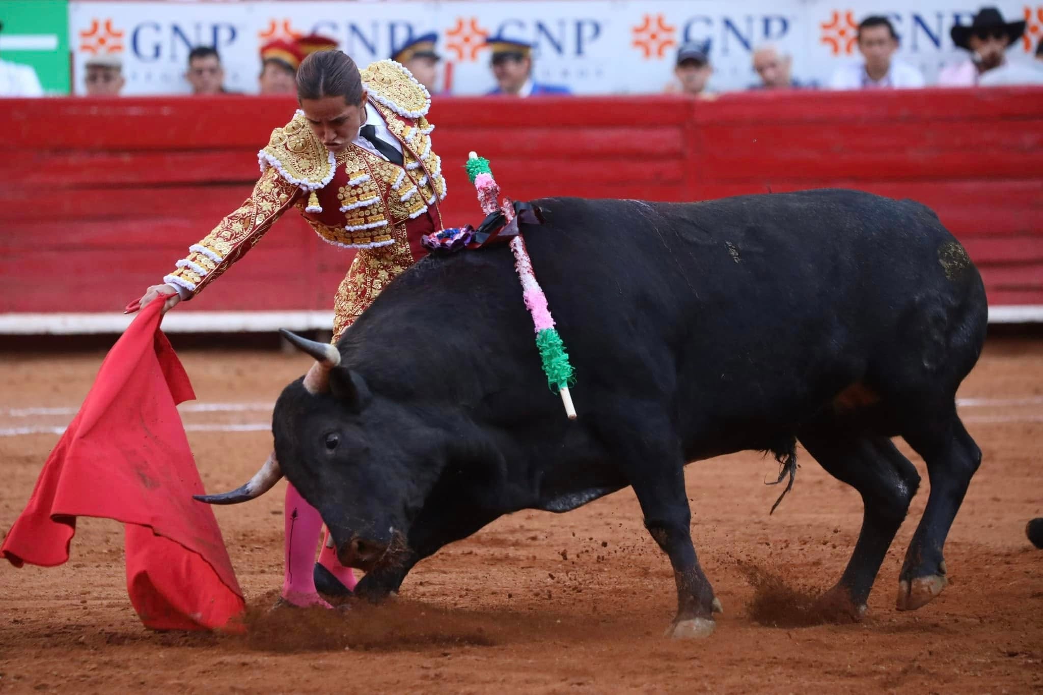 Plaza México suspende corridas de toros; ve "inviable" realizar ...